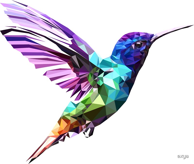 "Hummingbird" Stickers by exya | Redbubble