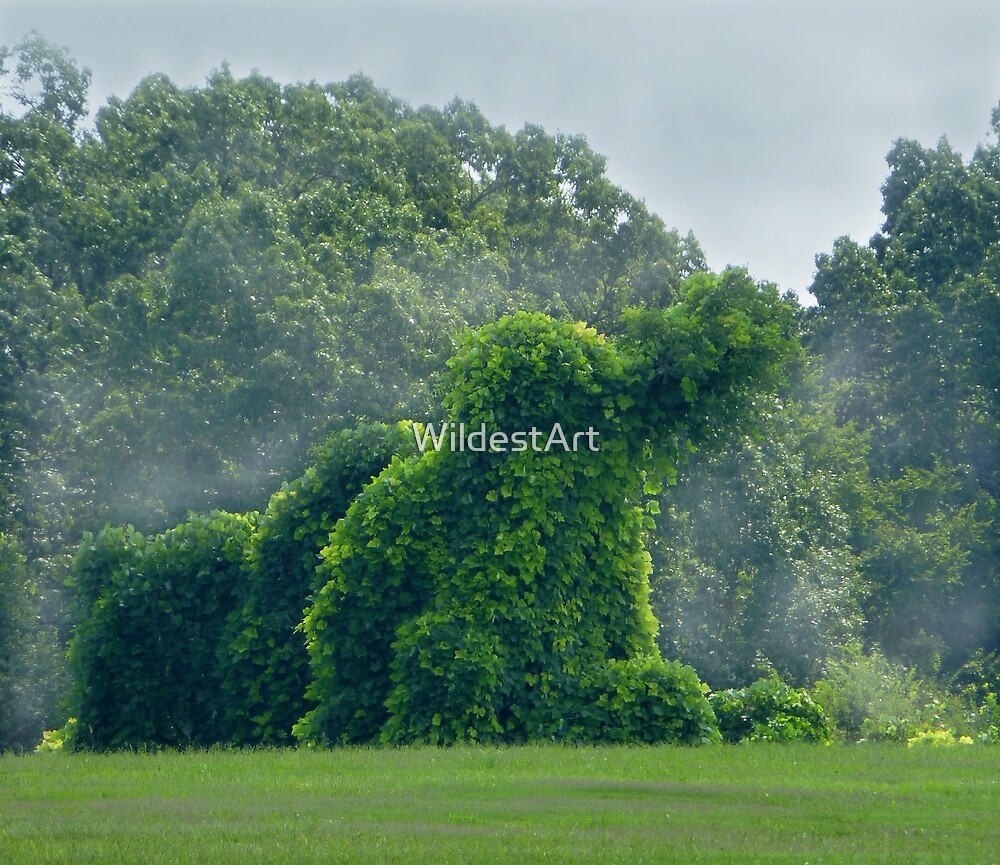 «The Giant Kudzu Monster» de WildestArt | Redbubble