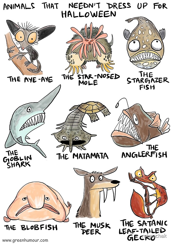 "Halloween animals" by rohanchak | Redbubble