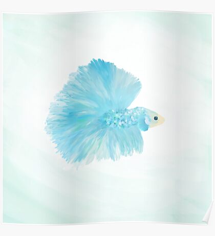 Betta Fish: Posters | Redbubble