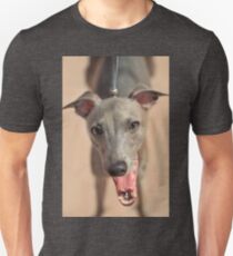 Italian Greyhound: Gifts & Merchandise | Redbubble