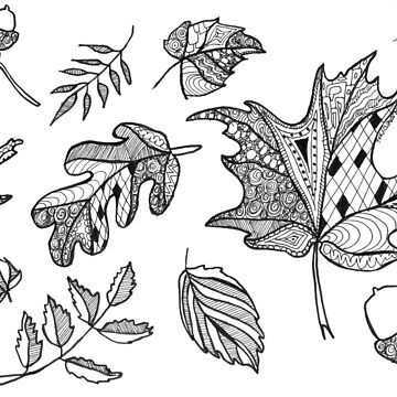 "Fall autumn leaves zentangle art" Art Board Print for Sale by ...