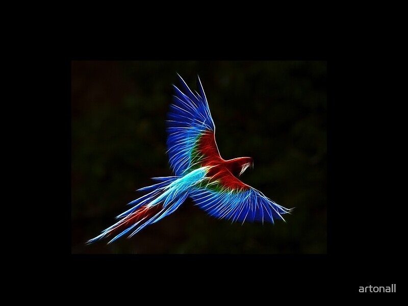 "Neon Parrot" by artonall | Redbubble