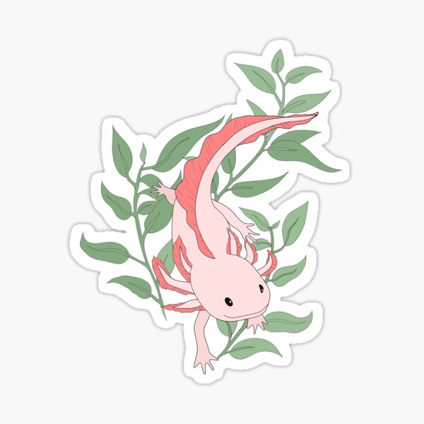 Axolotl Stickers | Redbubble