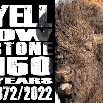 Fotodruck for Sale mit "Bison 150 Jahre Yellowstone - Yellowstone 150 Jahre alt" von ...