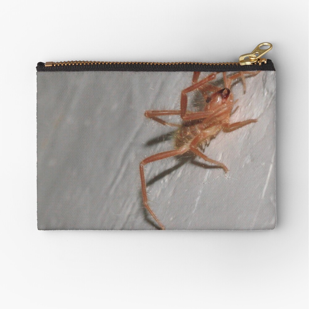 "Rooi roman - Arachnid Solifugae - Red Roman" Zipper Pouch by RinaG ...
