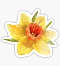 Daffodil Stickers | Redbubble