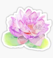 Water Lily Stickers | Redbubble