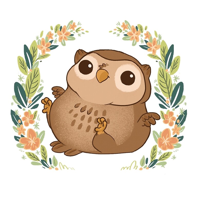 "Little owl Pudge" by Jenny Clements | Redbubble