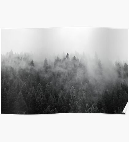 Landscape Nature Scenic: Posters | Redbubble