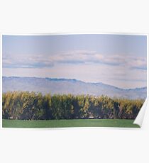 Landscape Nature Scenic: Posters | Redbubble