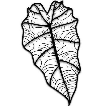 "Alocasia Houseplant Leaf Line Drawing" Poster for Sale by makesbymiss ...