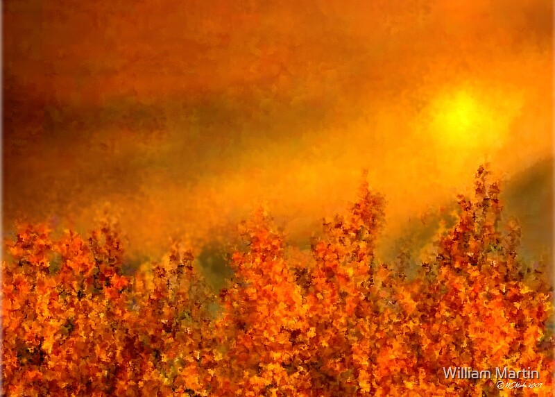 "Fall Sunset Digital Painting" by William Martin | Redbubble