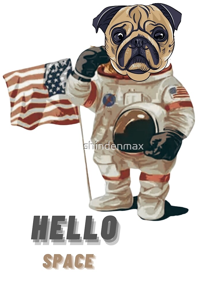 "pug in astronaut costume, hello space" by shindenmax | Redbubble