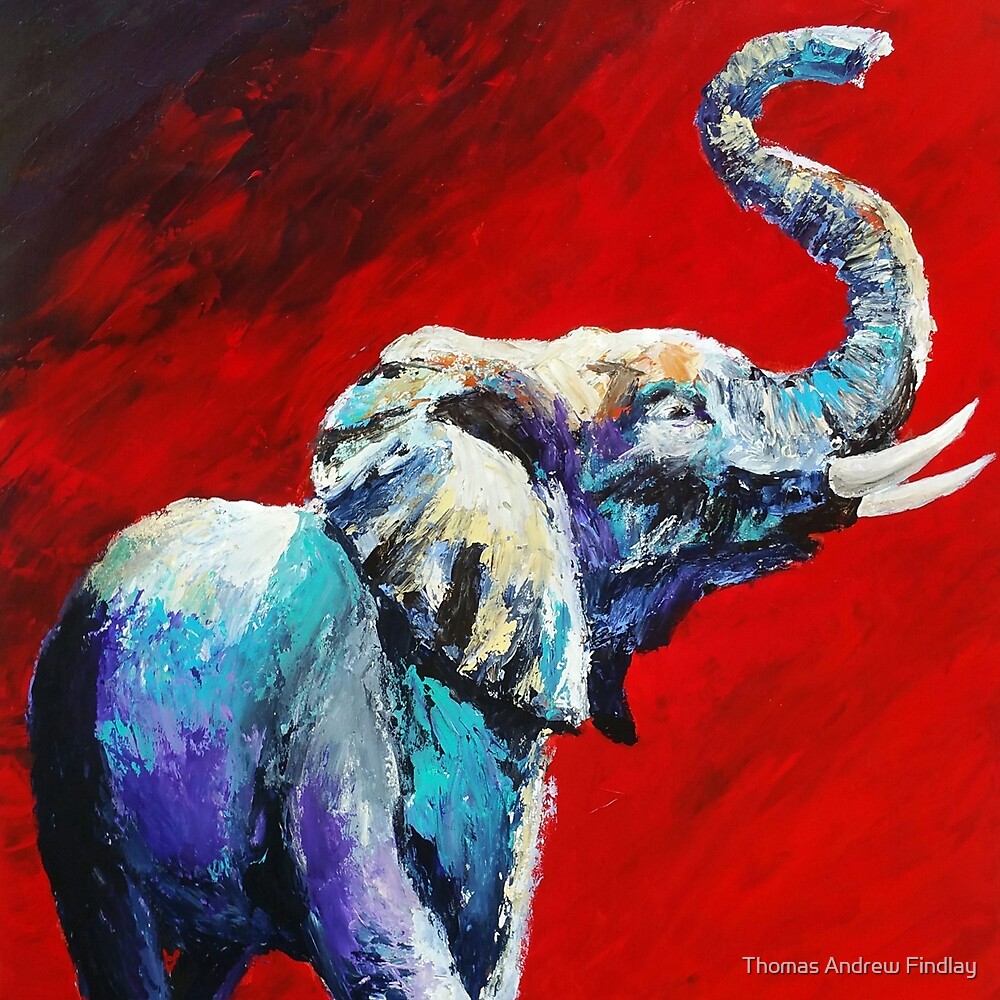 "Majestic Champion by artist Thomas Andrew" by Thomas Andrew Findlay ...