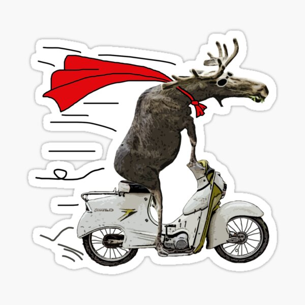 Moped Stickers | Redbubble