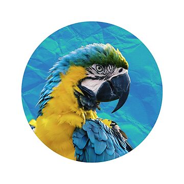 "Parrot on blue paper" Sticker for Sale by Mechalina | Redbubble