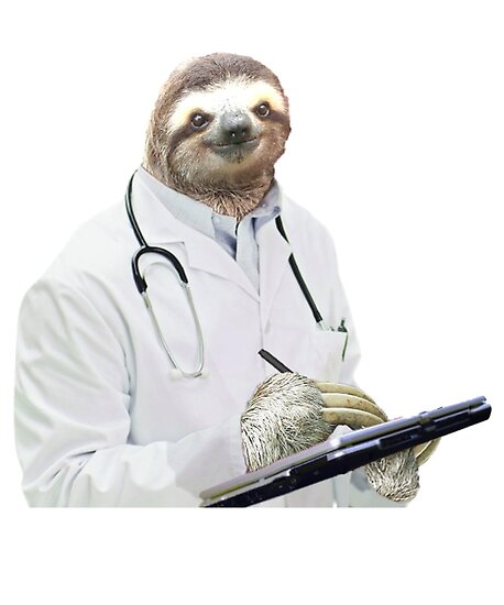 SleepY Sloth Struggle. at medicine.at 3 am. dESpIrAtiON - The Student Room