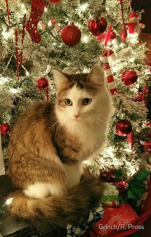 "MoMo Waiting for Santa" by Grinch/R. Pross | Redbubble