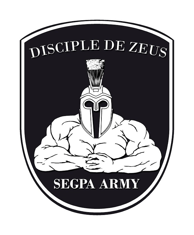 "Coat of arms on the pec - Segpa Army" by Raphael Andrieu | Redbubble