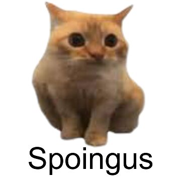 "Spoingus The Cat Meme" Sticker for Sale by marylovesshrek | Redbubble