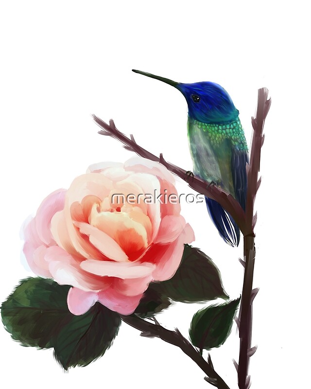 "Rose and hummingbird" by merakieros | Redbubble
