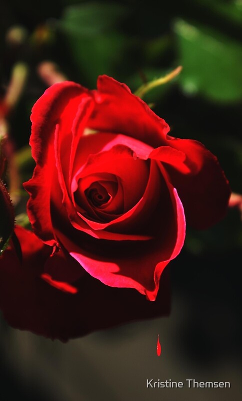 "Red Rose -Crying" by Kristine Themsen | Redbubble