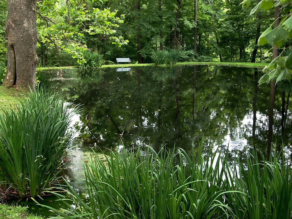 "At the pond from A Gardener's Notebook" by Douglas E. Welch | Redbubble