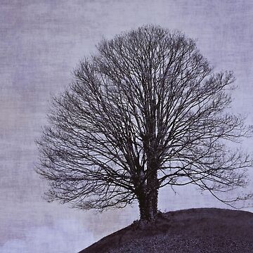 "Tree" Sticker for Sale by Anne Staub | Redbubble