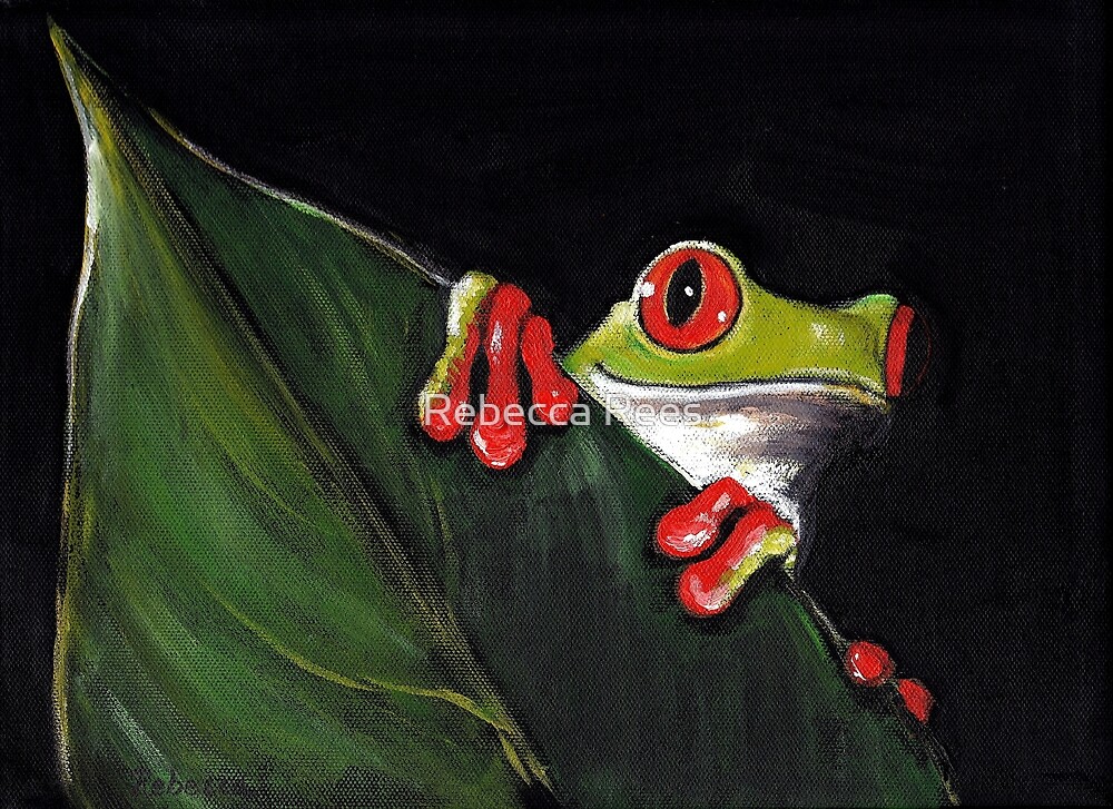 "Midnight Mischief - Original Painting Red-Eyed Tree Frog" by Rebecca ...