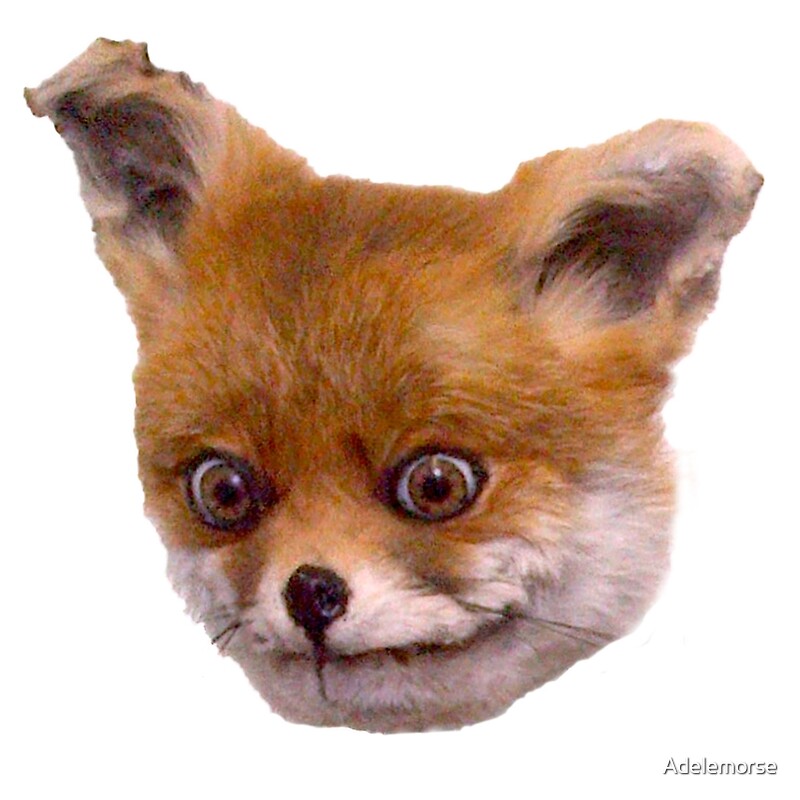 "ORIGINAL STONED TAXIDERMY FOX MEME " by ADELE MORSE | Redbubble