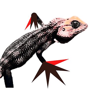 "Black Wicked Lizard " Sticker for Sale by AmoretORLA | Redbubble
