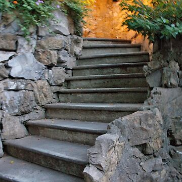"Stone Steps At Dusk" Spiral Notebook for Sale by phil decocco | Redbubble