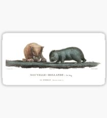 Wombat: Stickers | Redbubble
