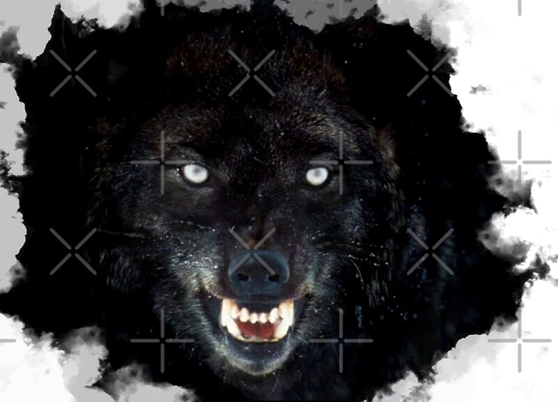 "pack of wolves,alfa wolf " by brasilstore | Redbubble