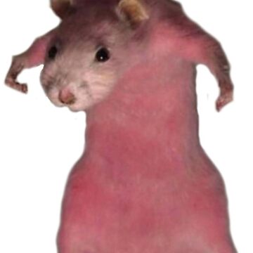 "Pink Rat" Sticker for Sale by TheRealEzOak | Redbubble