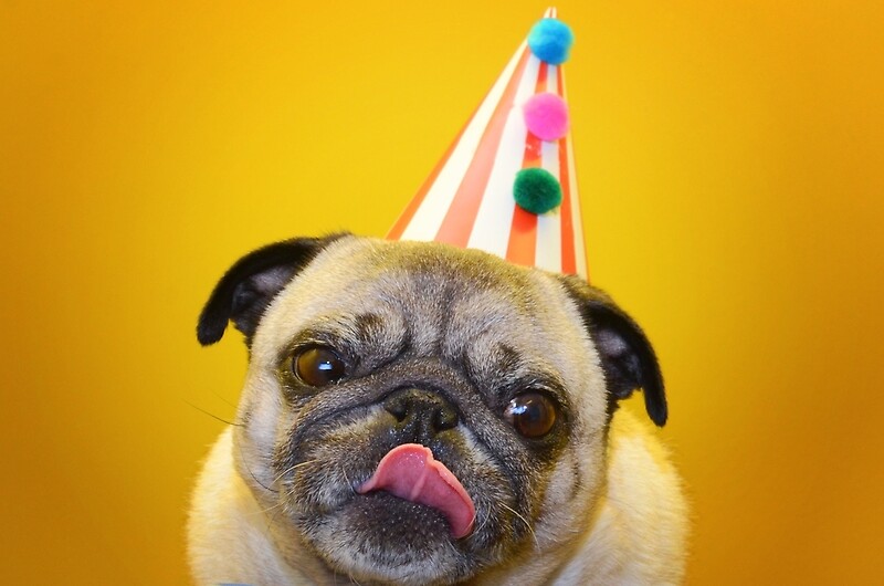 "Birthday Kisses" by NJMphotography | Redbubble