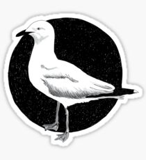 Seagull: Stickers | Redbubble