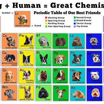 "Periodic Table of Dogs, Science Lover, Dog Lover" Poster for Sale by ...