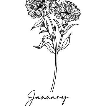 "January Birth Flower" Art Board Print for Sale by Jamie Cottrell ...