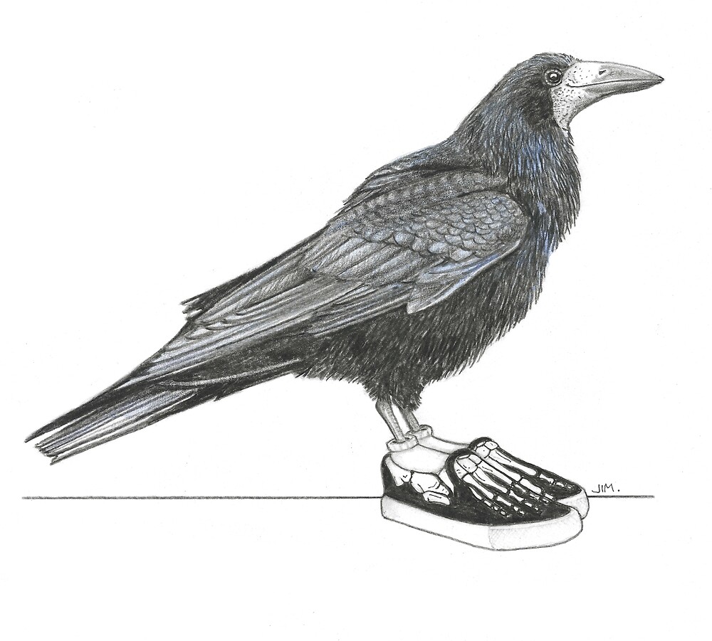 "Rook in Skeleton Sneakers" by JimsBirds | Redbubble