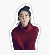 Iu Stickers | Redbubble