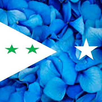 "Galmudug State Flag" Art Board Print for Sale by DabalDeg | Redbubble