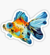 Goldfish: Stickers | Redbubble