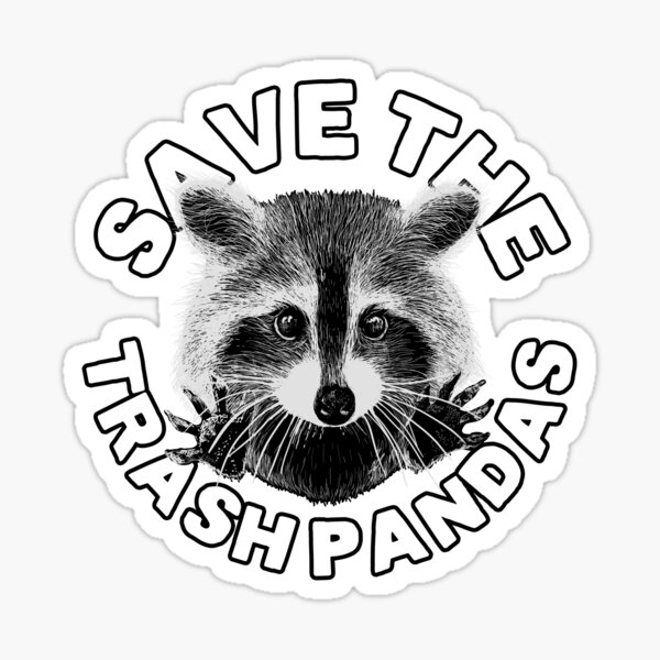 Raccoon Stickers | Redbubble