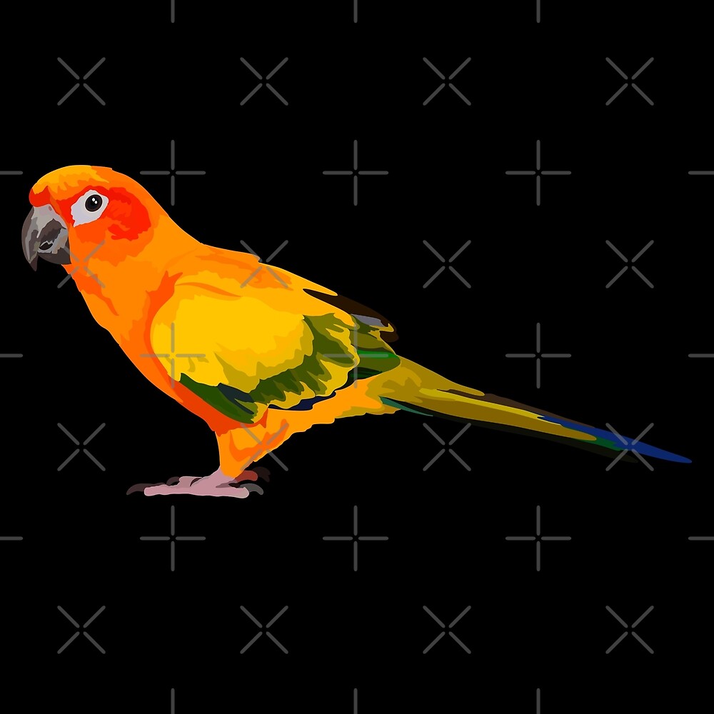 "S is for Sun Conure " by thezoogirl | Redbubble
