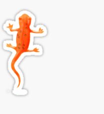 Salamander Stickers | Redbubble