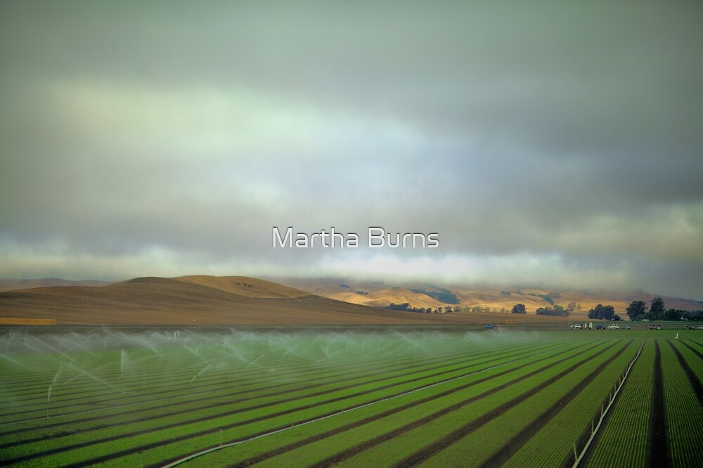 "The perfect farm" by Martha Burns | Redbubble