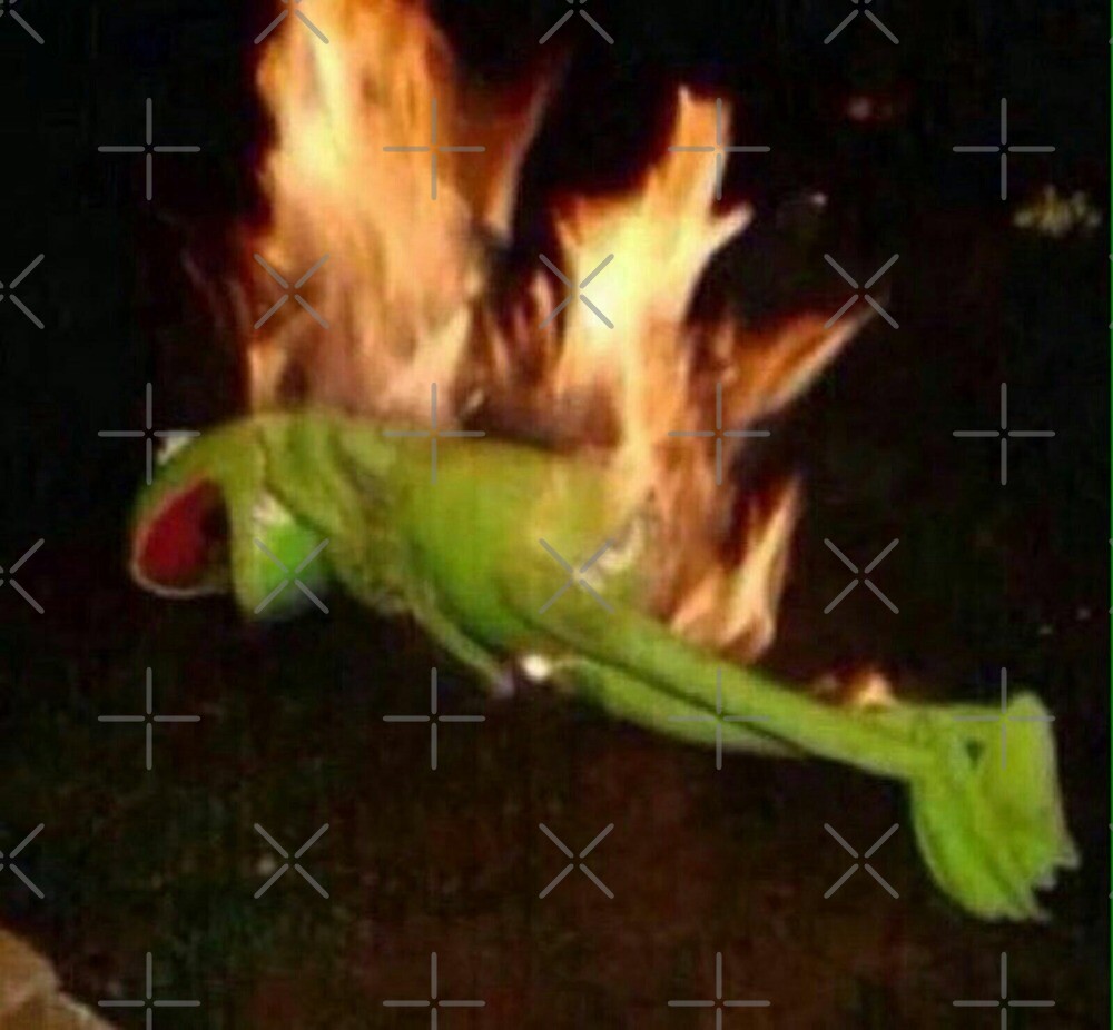 "Kermit on Fire" by baileyxo | Redbubble