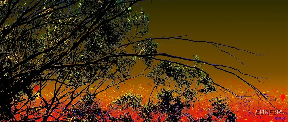 "Beautiful Gumtree's" by SURF3R | Redbubble